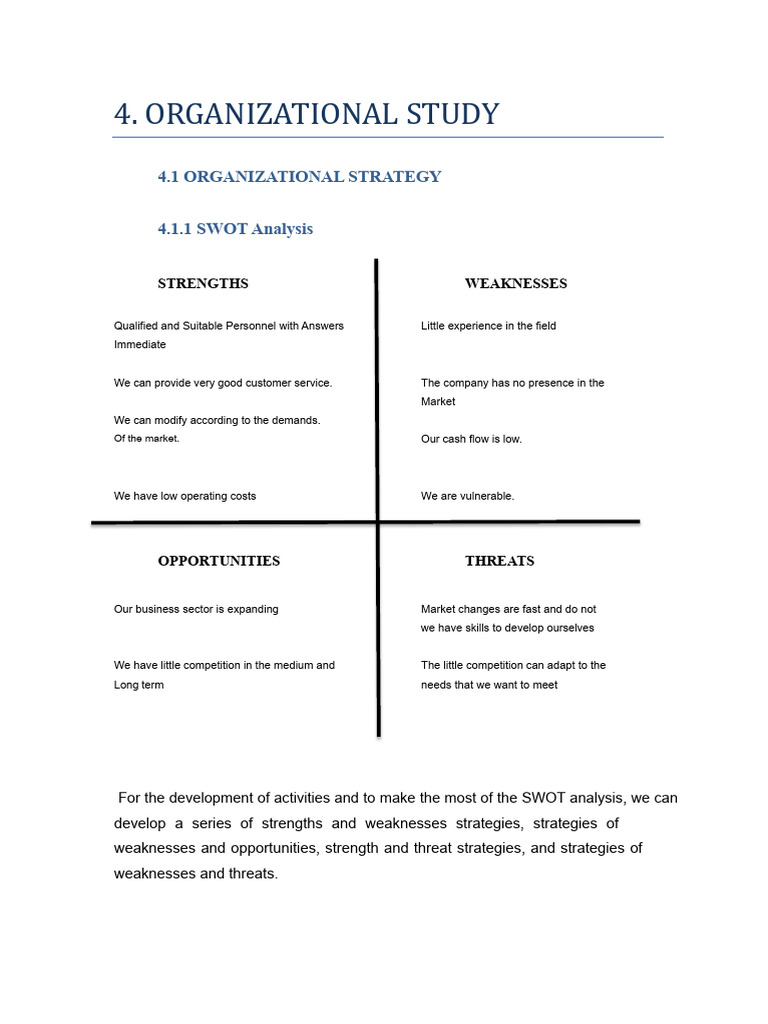 Consulting Project | PDF | Swot Analysis | Economies