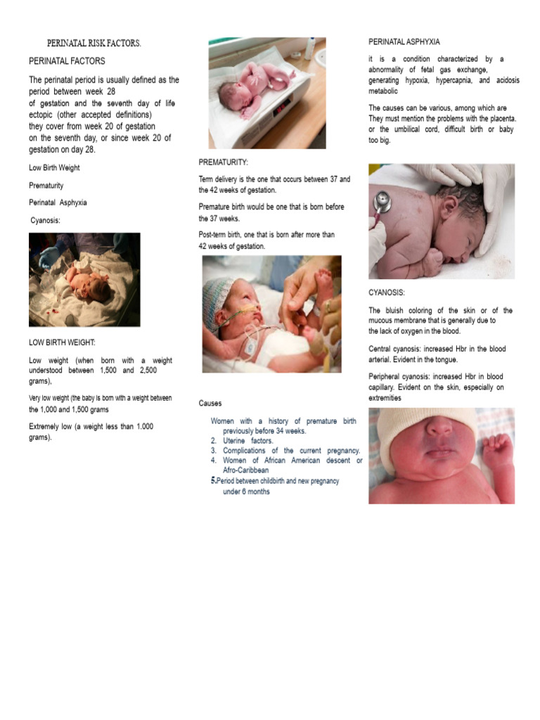 Perinatal Risk Factors | PDF | Prenatal Development | Preterm Birth
