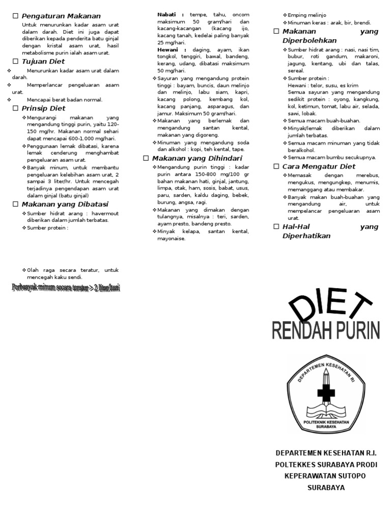 Leaflet Diet Rendah Purin | PDF