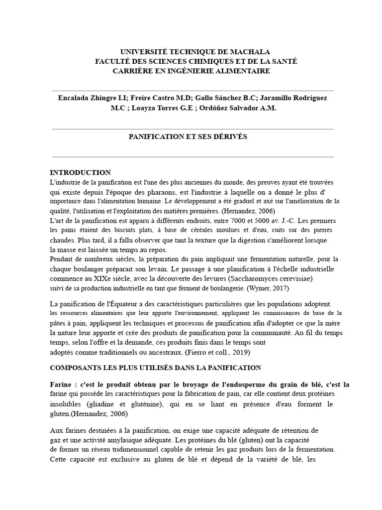 Techniques et types de panification | PDF | Pains | Gluten