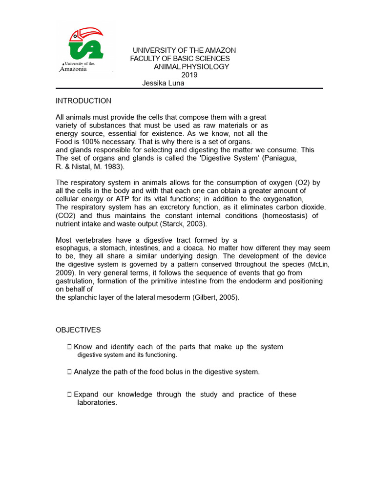 Report On The Anatomy and Physiology of The Digestive System | PDF ...