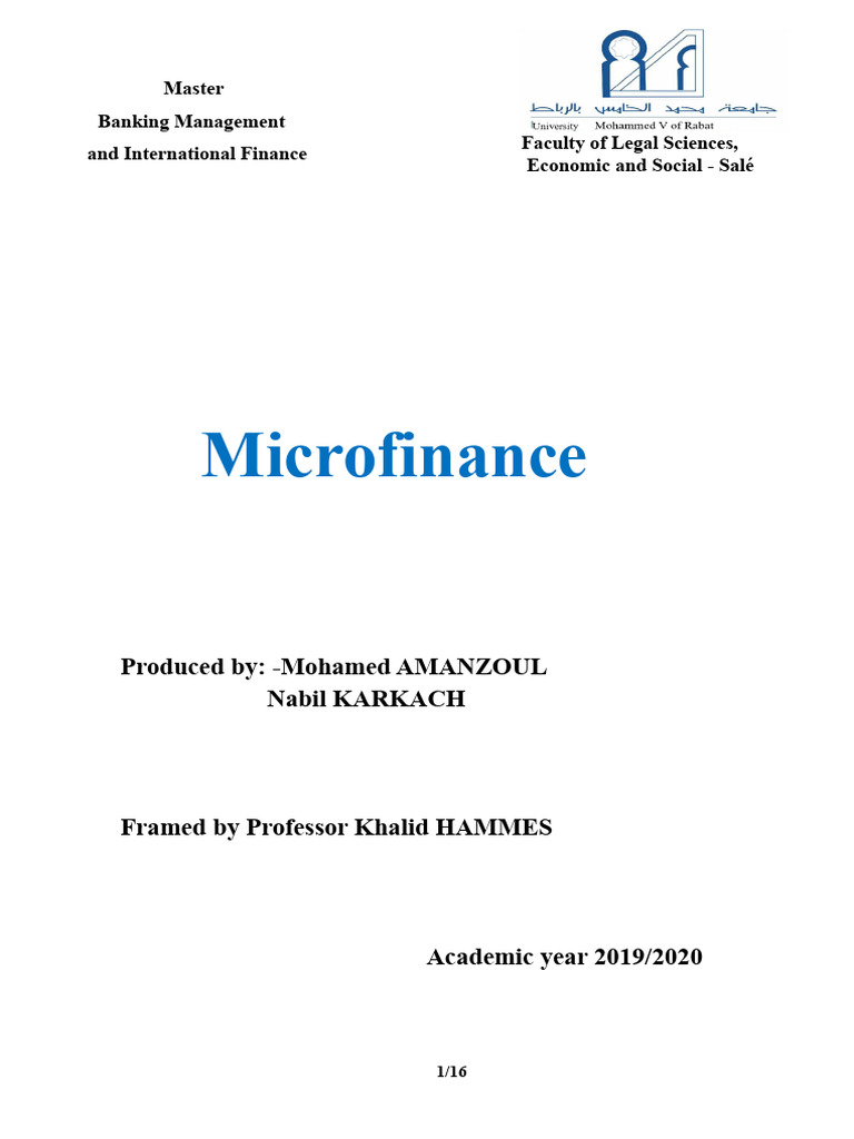 Presentation On Microfinance | PDF | Microfinance | Microcredit