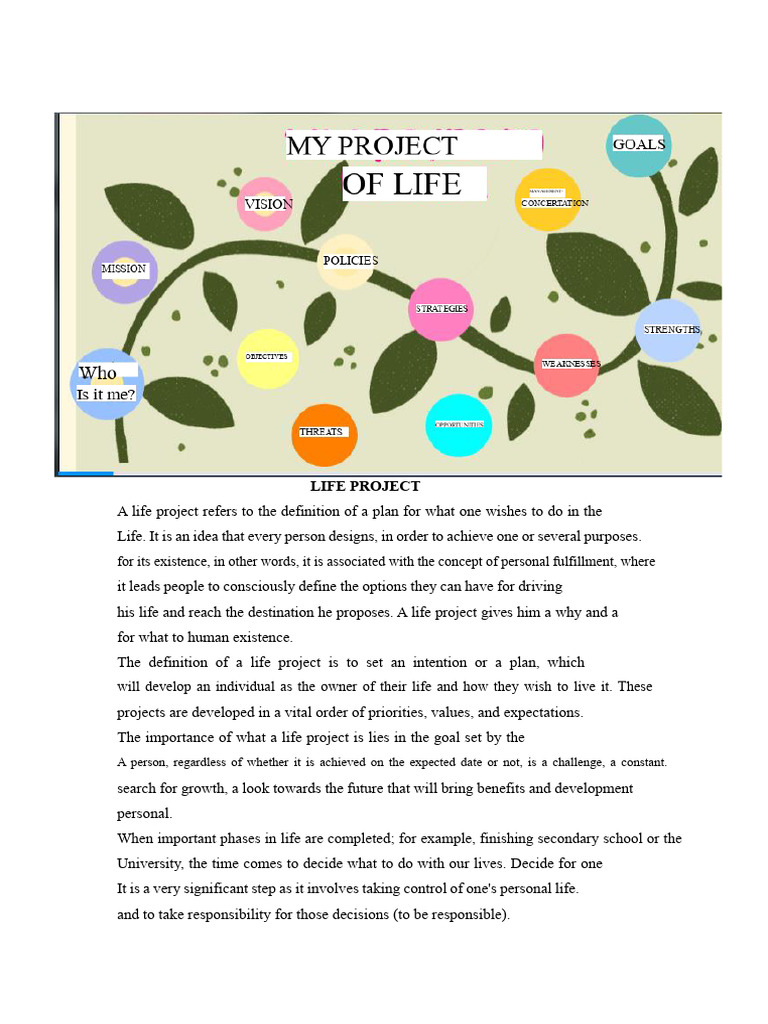 Understanding Life Projects for Fulfillment | PDF | Goal | Motivation