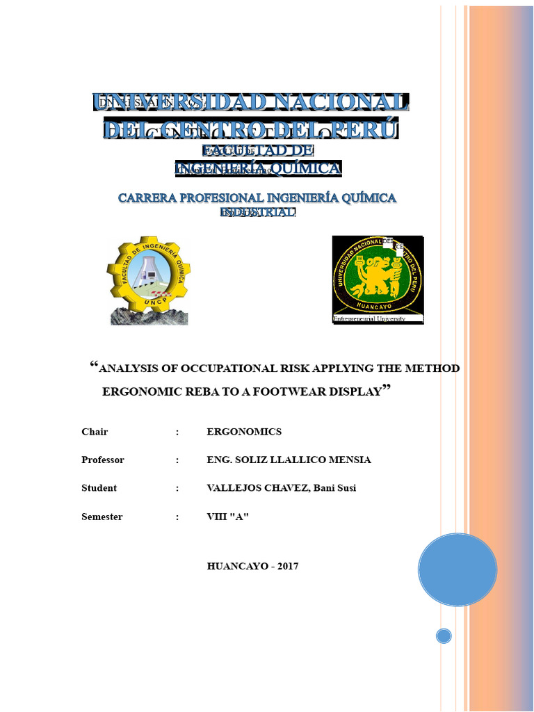Reba - Report | PDF