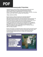 Abdomen X-Ray Positioning Guide | PDF | Abdomen | Pelvis