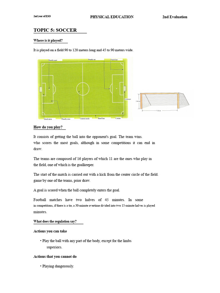 Theme 5 Physical Education Soccer | PDF | Forward (Association Football ...