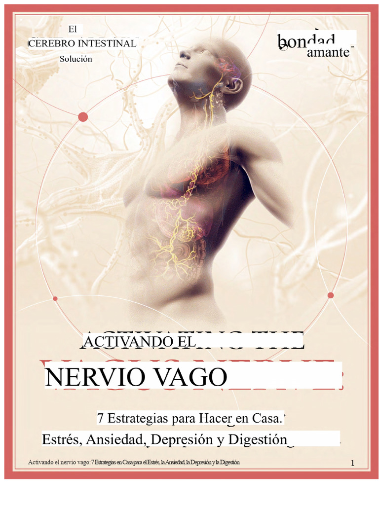 Estrategias para Activar el Nervio Vago | PDF | Nervio vago | Estrés ...
