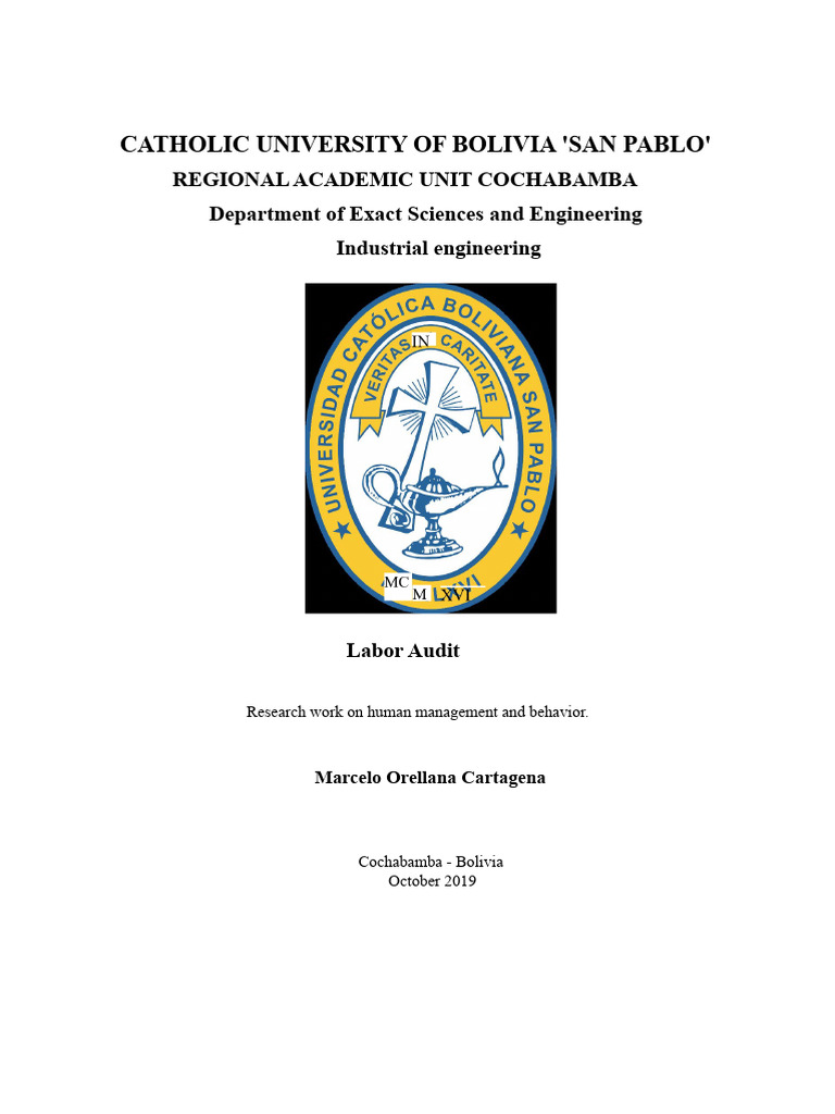 Labor Audit Completed PDF | PDF | Audit | Internal Audit
