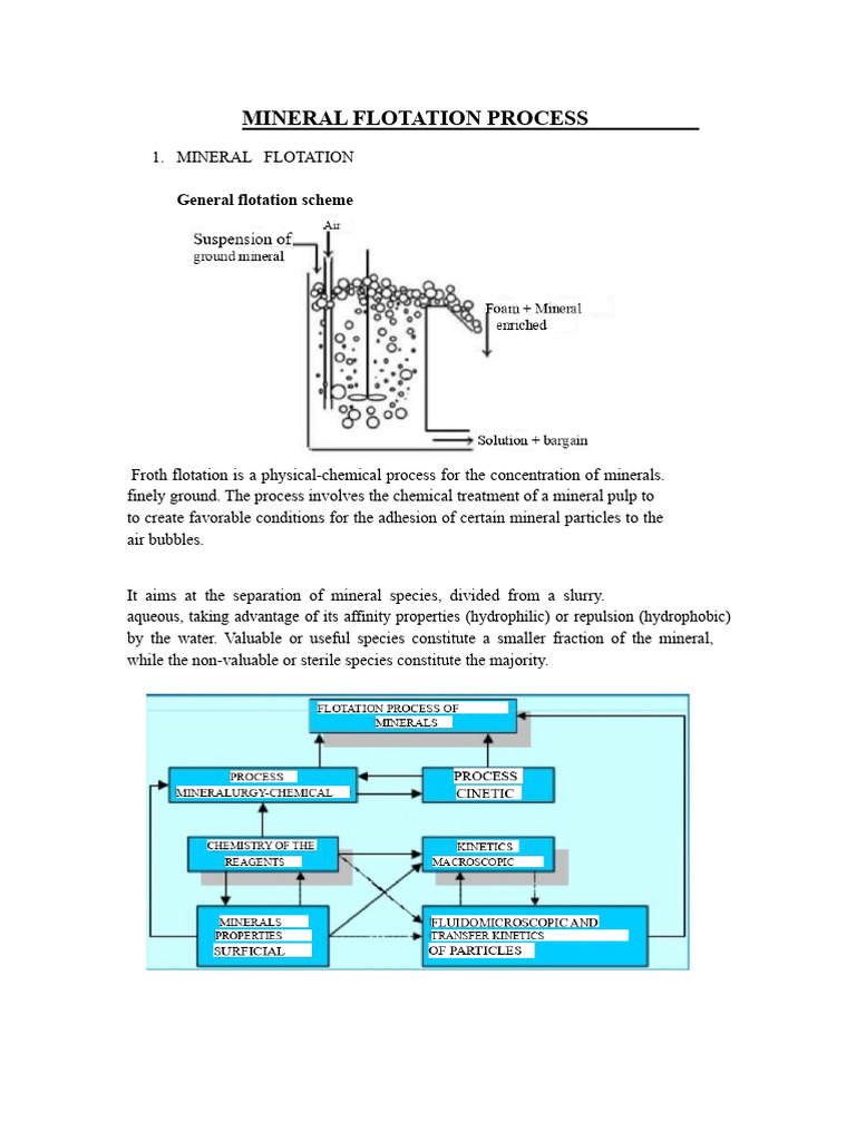 Mineral Flotation Process Overview | PDF | Salt (Chemistry) | Chemical ...