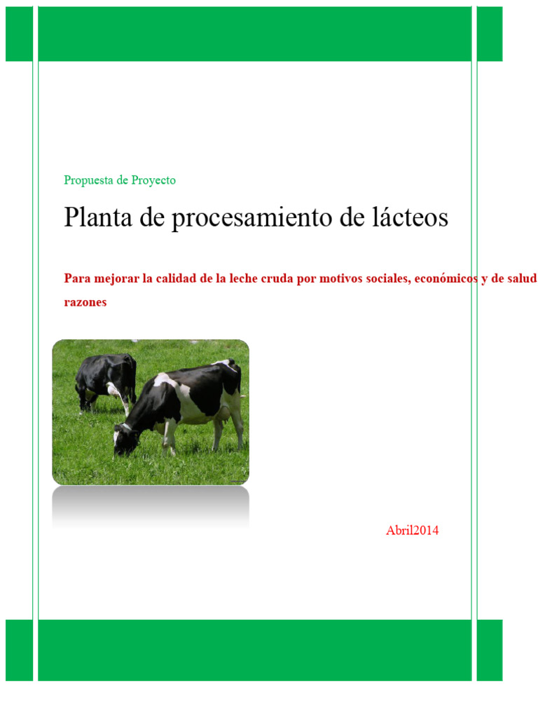 Propuesta de Proyecto | PDF | Leche | Productos lácteos