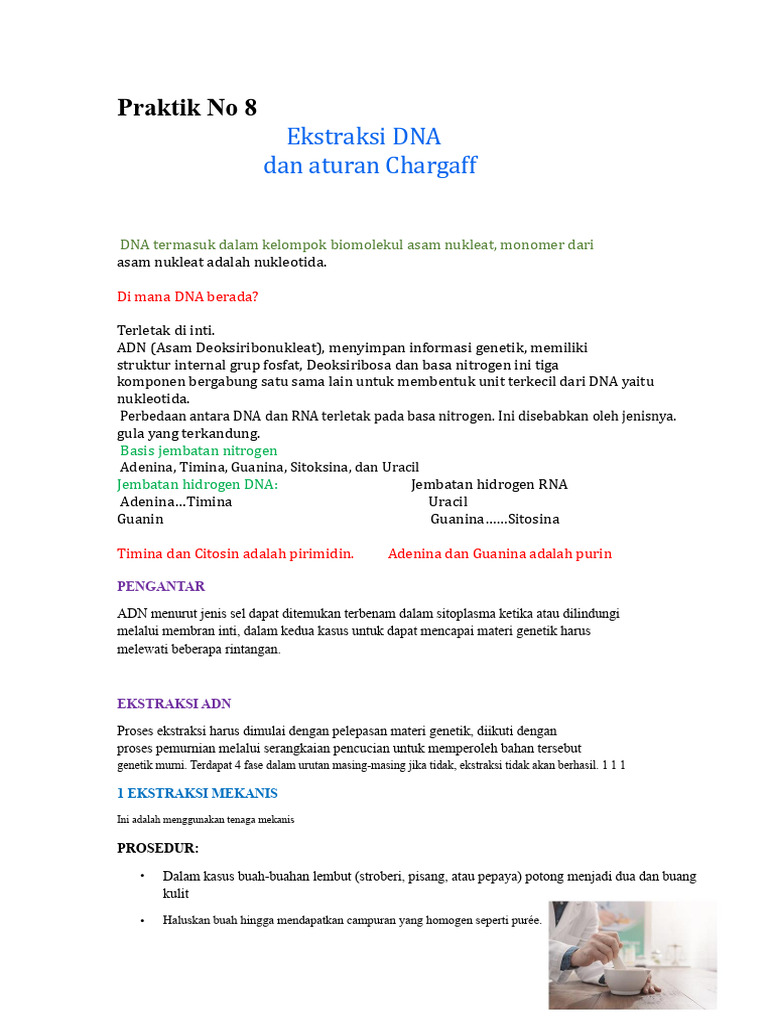 Aturan Chargaff dalam Ekstraksi DNA | PDF