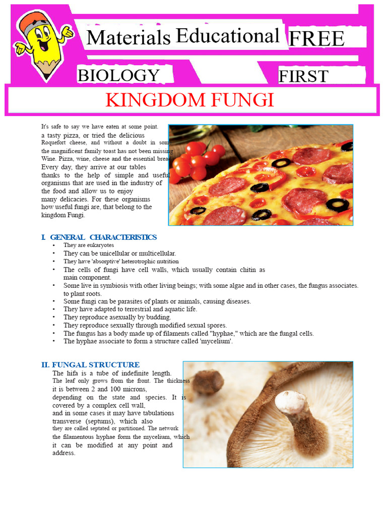Kingdom Fungi For First Year of Secondary School | PDF | Fungus | Organisms