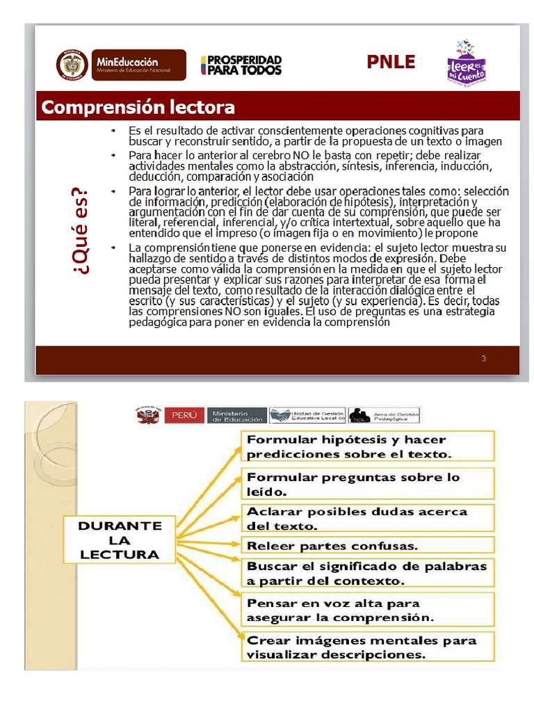 Levels of Reading Comprehension Explained | PDF | Reading Comprehension ...