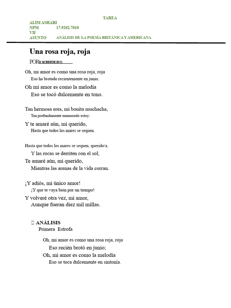 Análisis de Red Red Rose | PDF | Amor