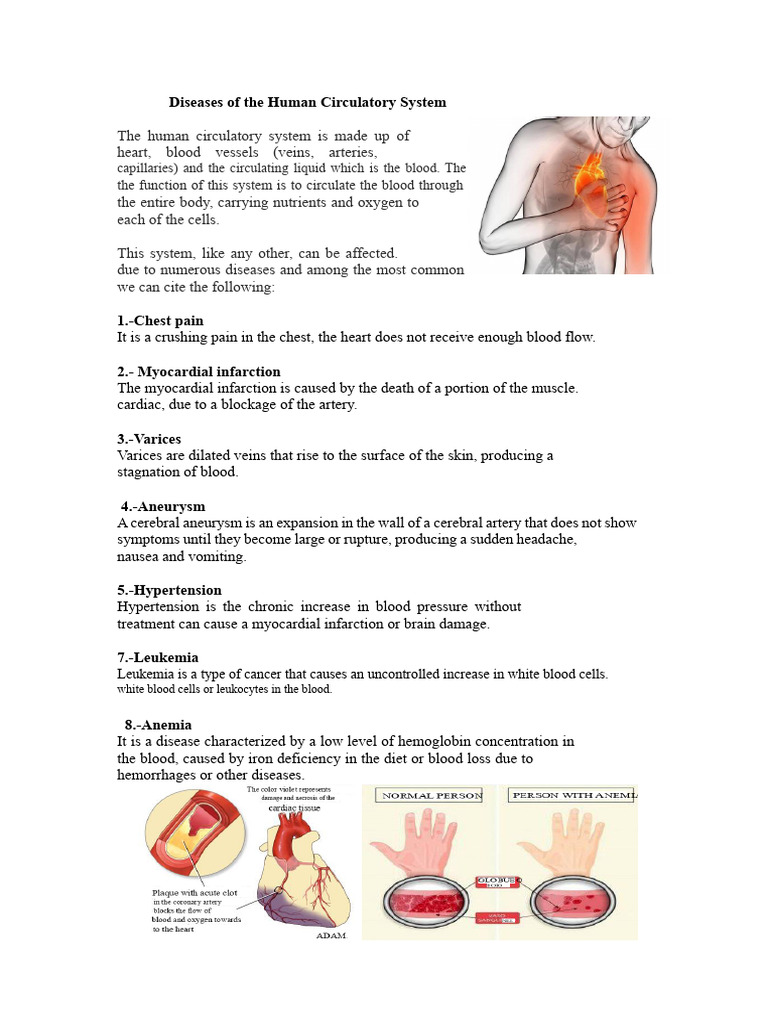 Diseases of The Human Circulatory System | PDF
