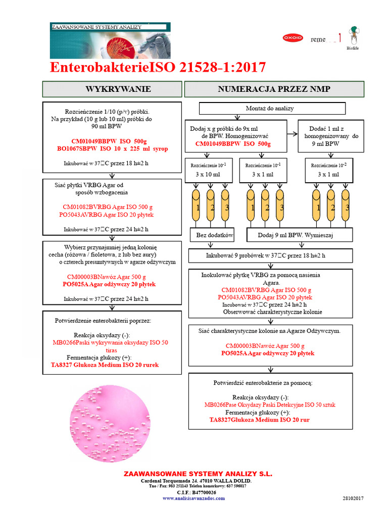 Enterobacterie 21528 - 1 | PDF