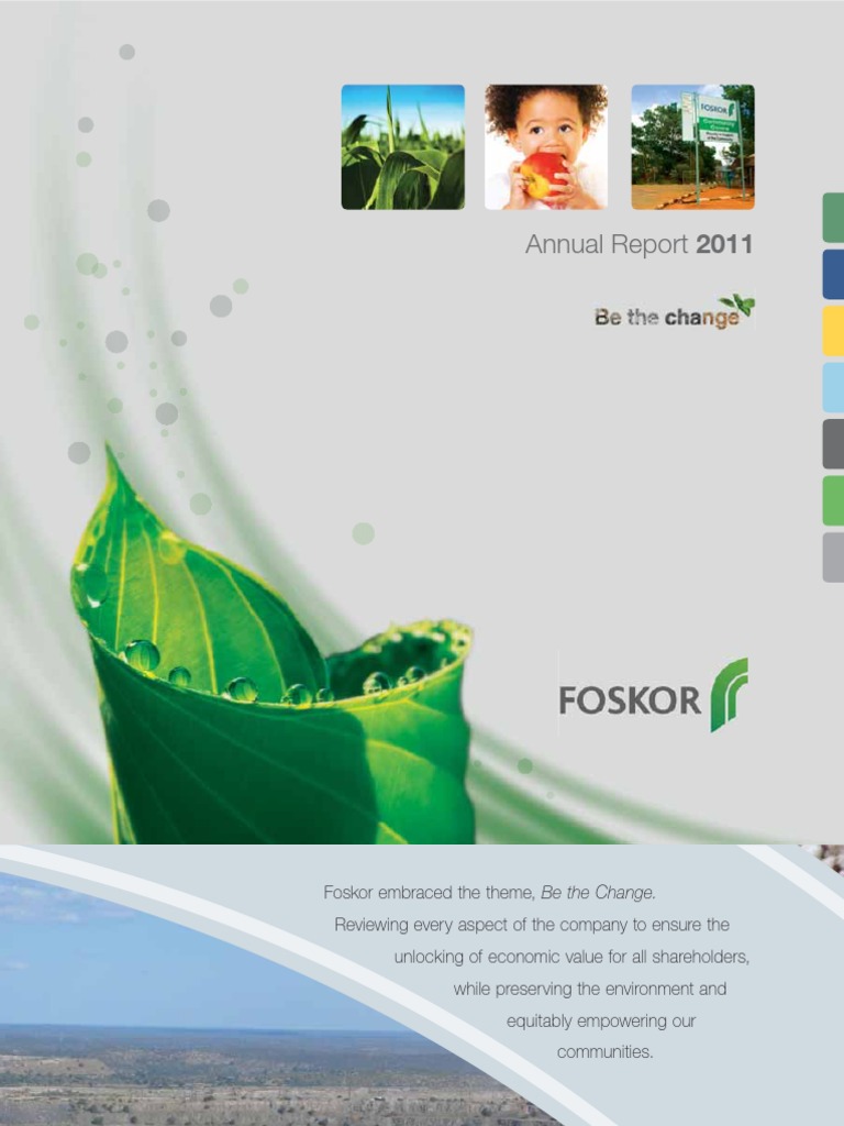 Foskor AFS 2011 | PDF | Board Of Directors | Financial Statement
