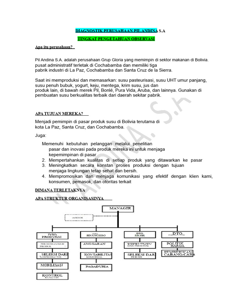 Profil Perusahaan Pil Andina S.A. | PDF