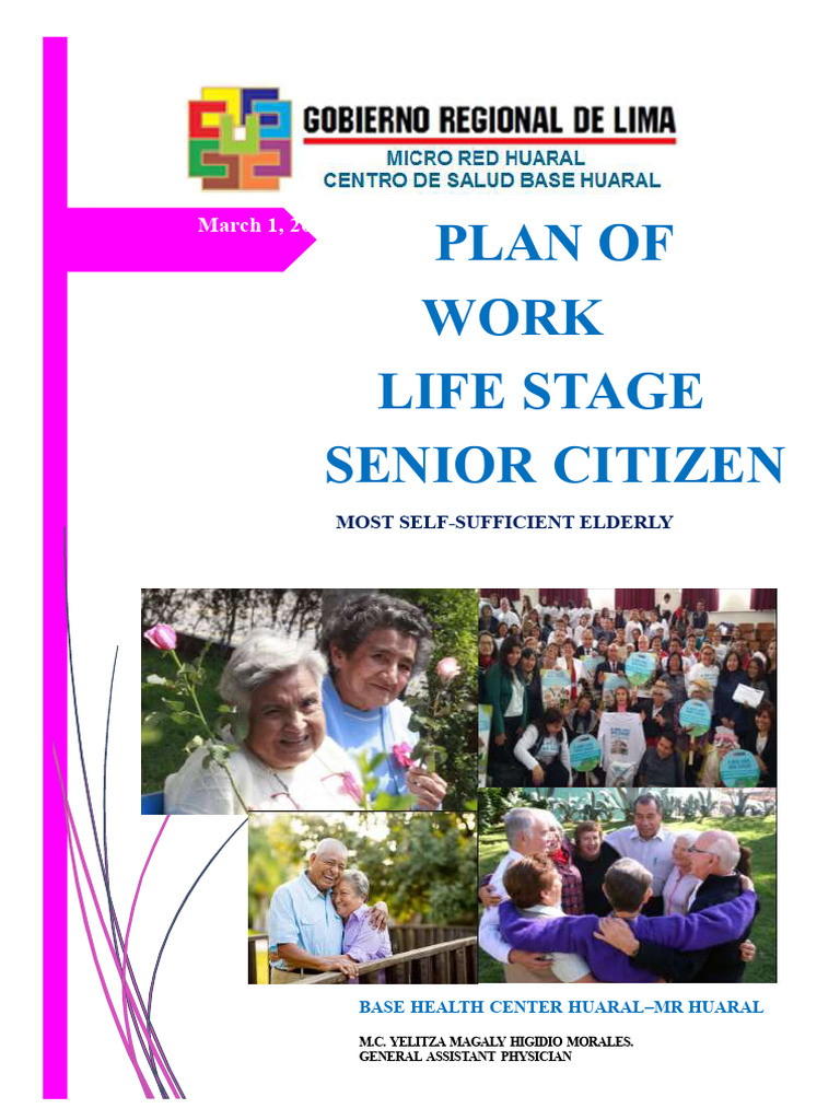Senior Adult Plan Huaral | PDF | Ageing | Mental Disorder