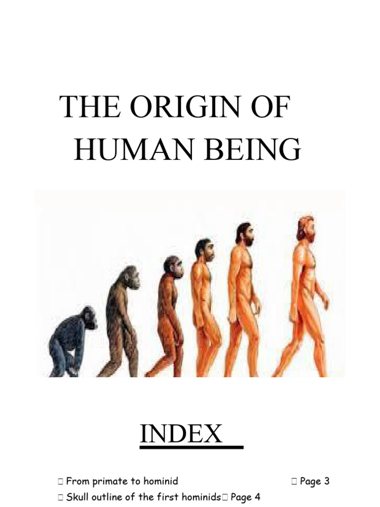 The Origin of The Human Being | PDF | Homo | Bipedalism