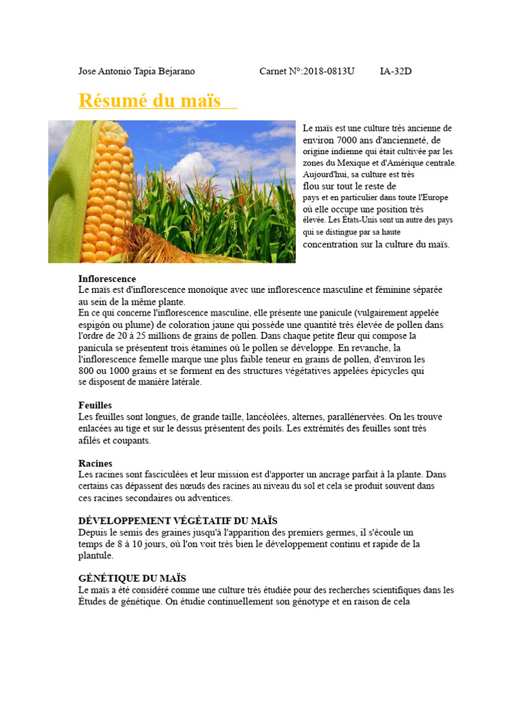 Culture et exigences du maïs | PDF | Maïs | Irrigation