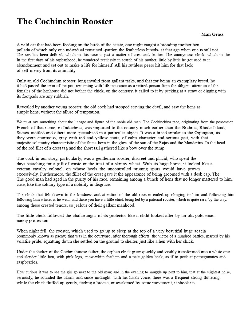 The Cochinchin Rooster | PDF | Chicken | Birds