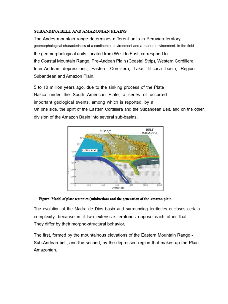 Sub-Andean Belt and Amazon Plain | PDF | Andes | Sedimentary Rock