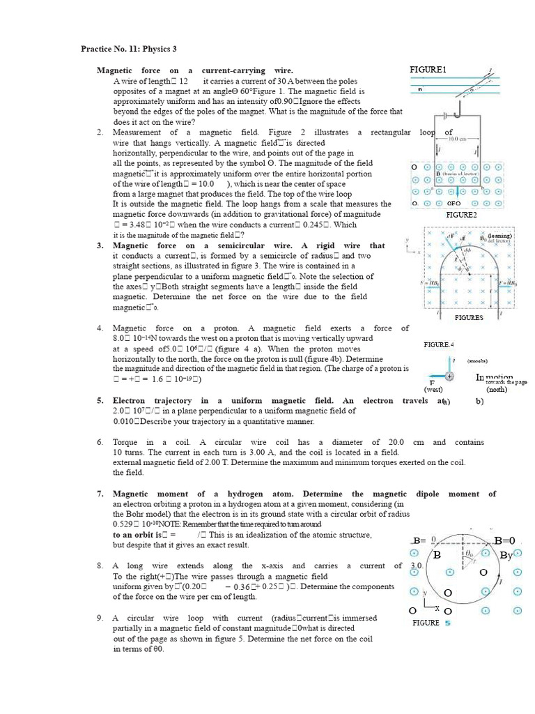 Magnetic Forces and Fields in Physics | PDF | Magnetic Field | Force
