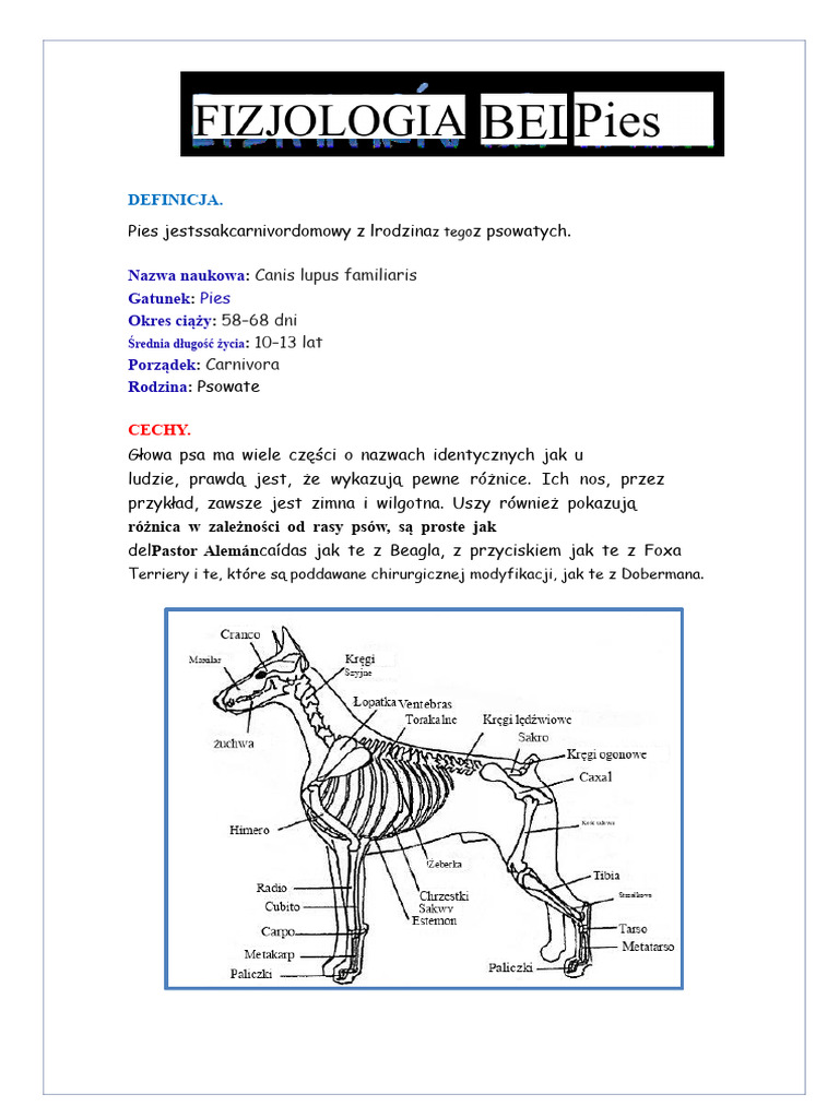 Fizjologia Psa | PDF