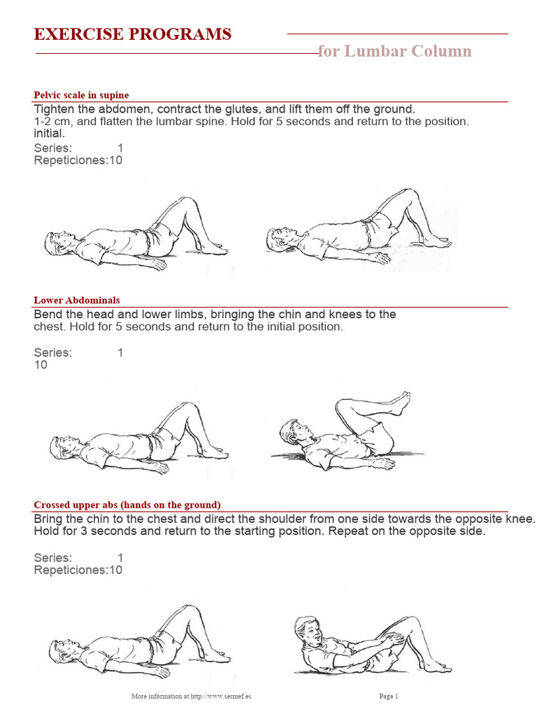 Lower Back Pain | PDF | Pelvis | Abdomen