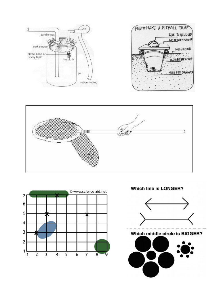 Diagrams of Sampling Techniques | PDF