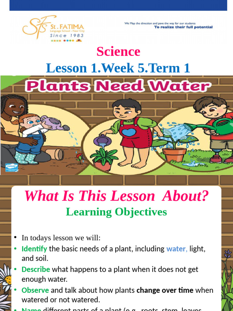 T1-Science L2 - W5-Plant and Water | PDF | Plants | Root