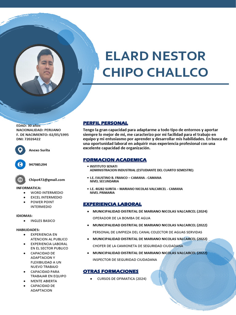 Perfil Profesional de Elard Nestor Chippo | PDF