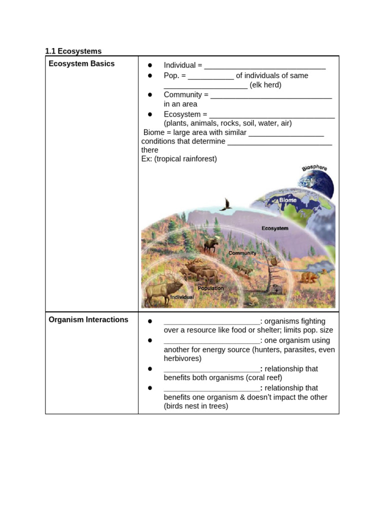 Ecosystem Interactions and Biomes Overview | PDF | Food Web | Primary ...