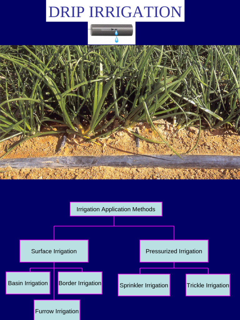 Chapter 5-1 Drip Irrigation | PDF | Irrigation | Environmental Engineering