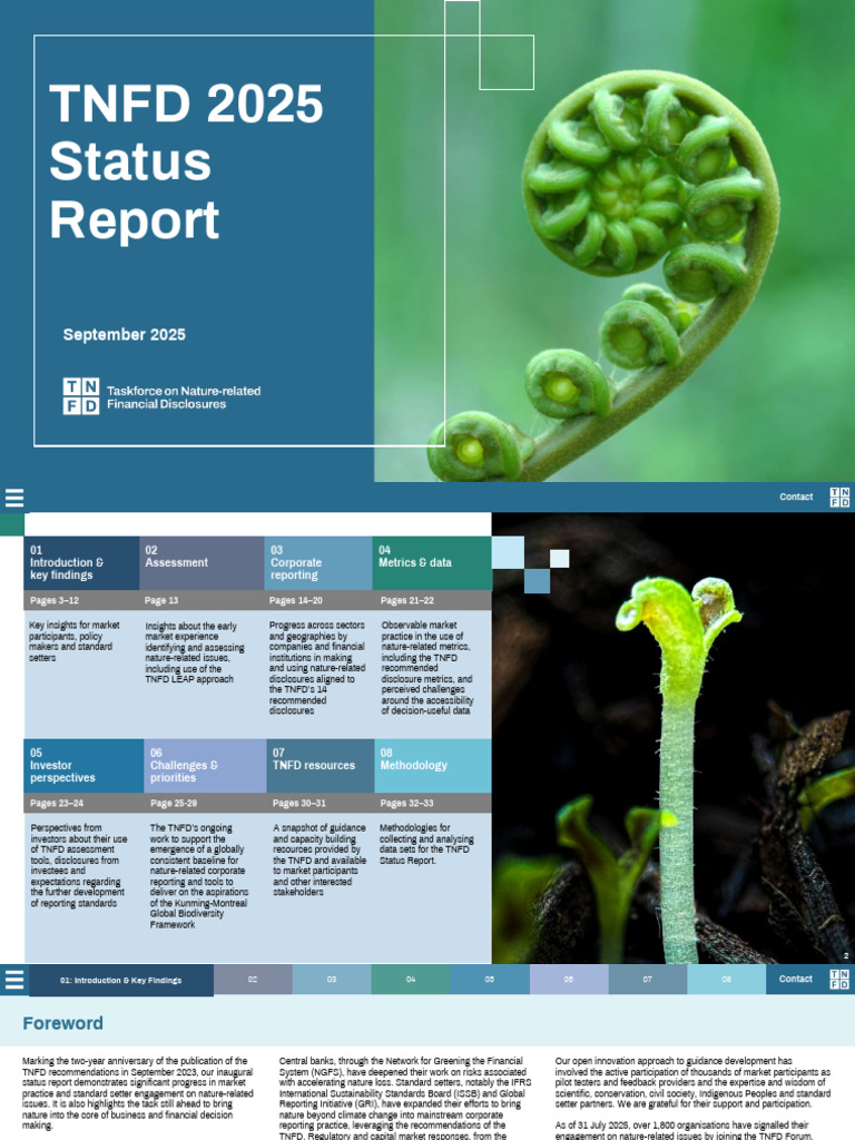 TNFD Status Report 2025 Insights | PDF | Sustainability | Risk