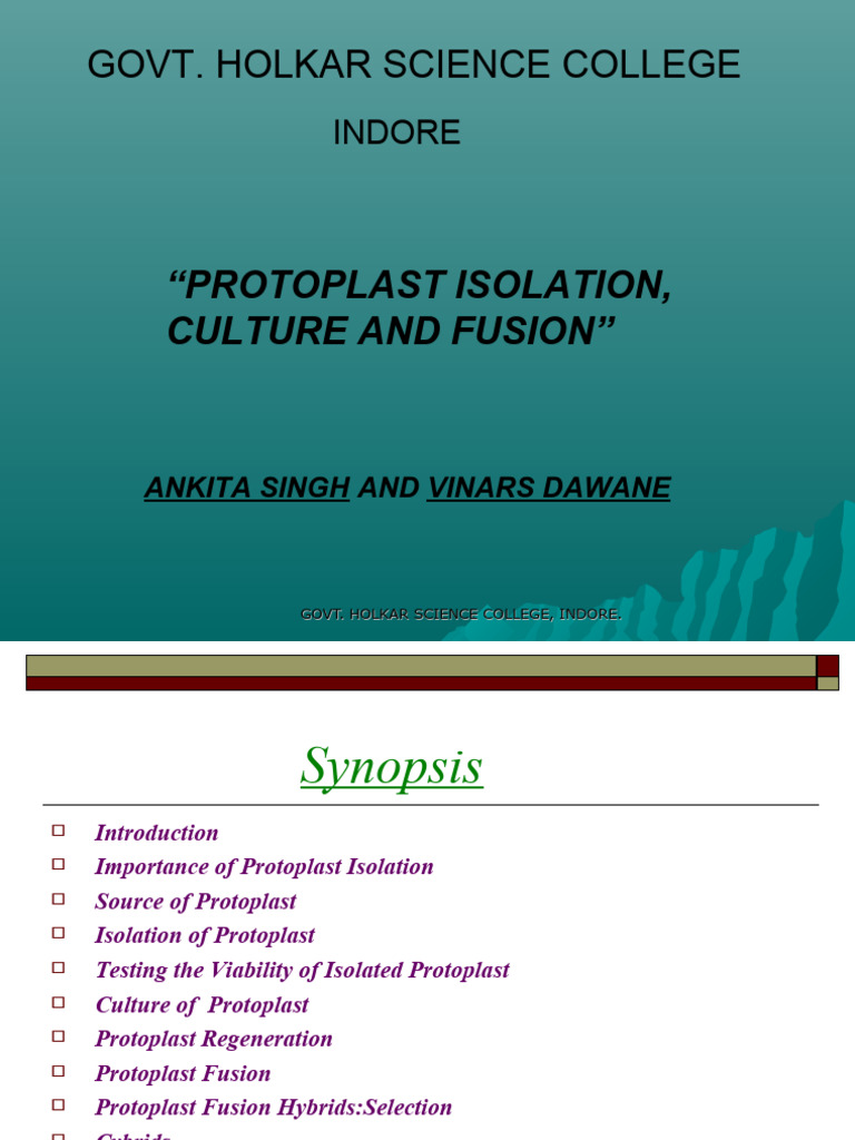Protoplast Isolation Cuture | PDF | Biology | Cell Biology