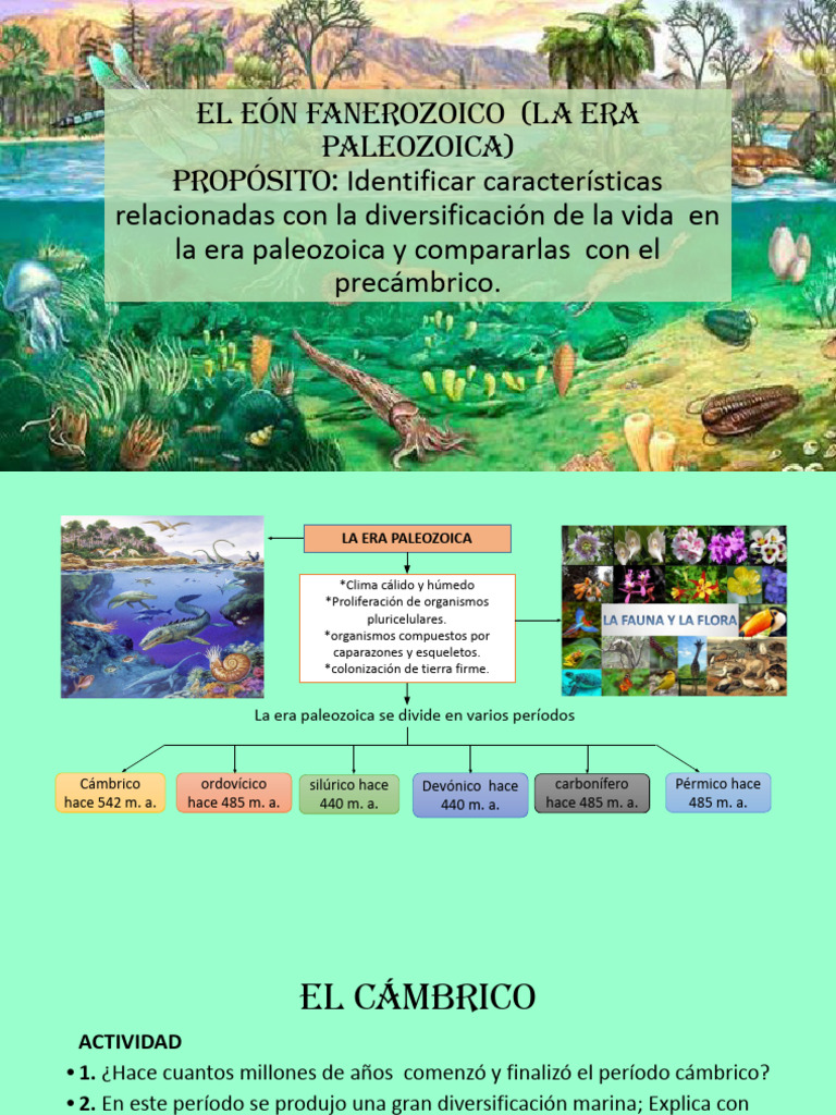 El Eón Fanerozoico (La Era Paleozoica) | PDF | Estratigrafía | Ciencias ...