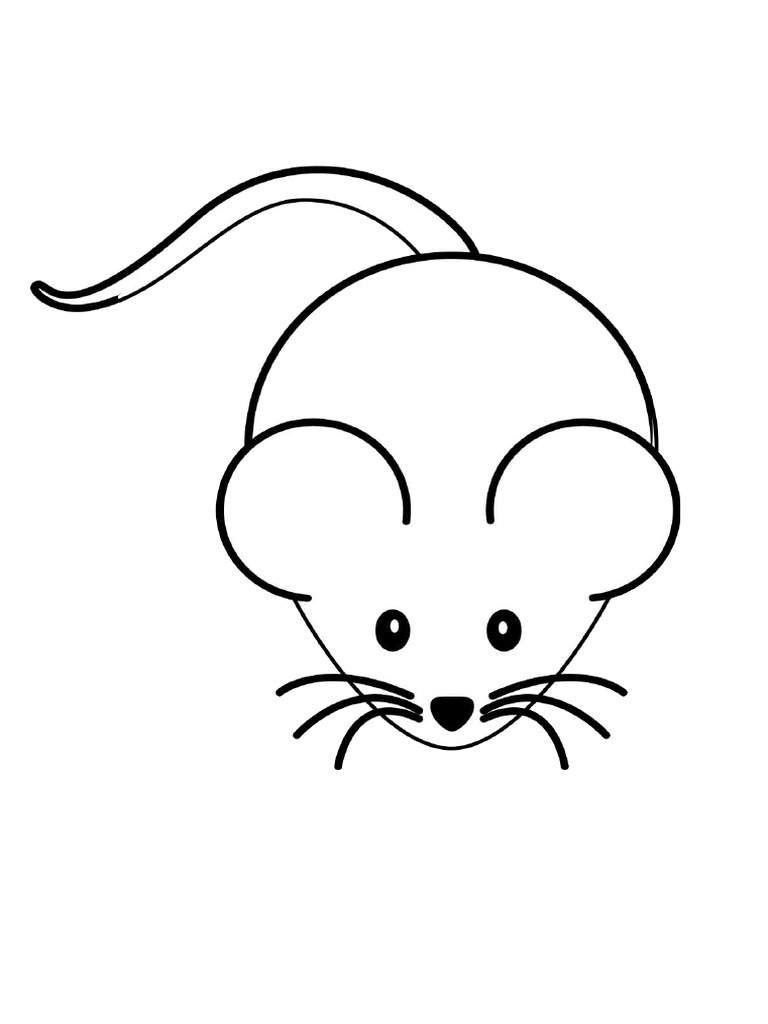 Mouse Color | PDF