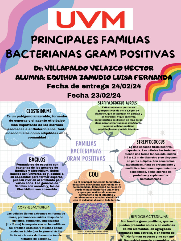 Green and Blue Playful Illustrative Mind Map | PDF | Bacterias Gram ...