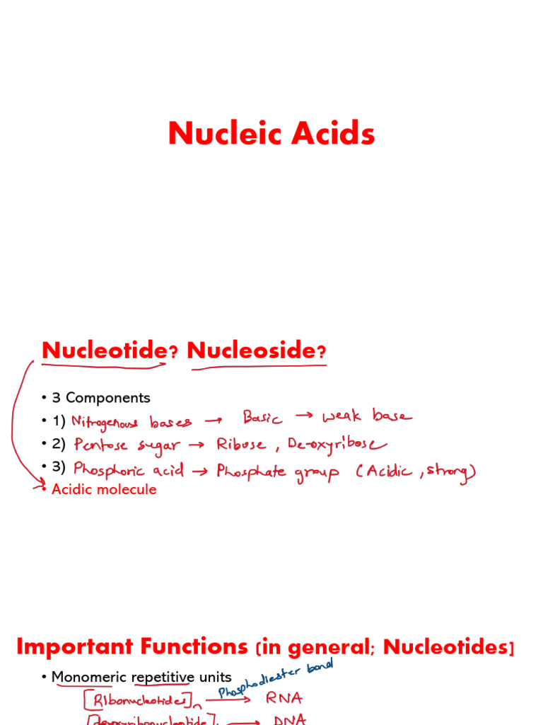 5 Nucleic Acids Complete | PDF | Nucleotides | Nucleic Acid Double Helix