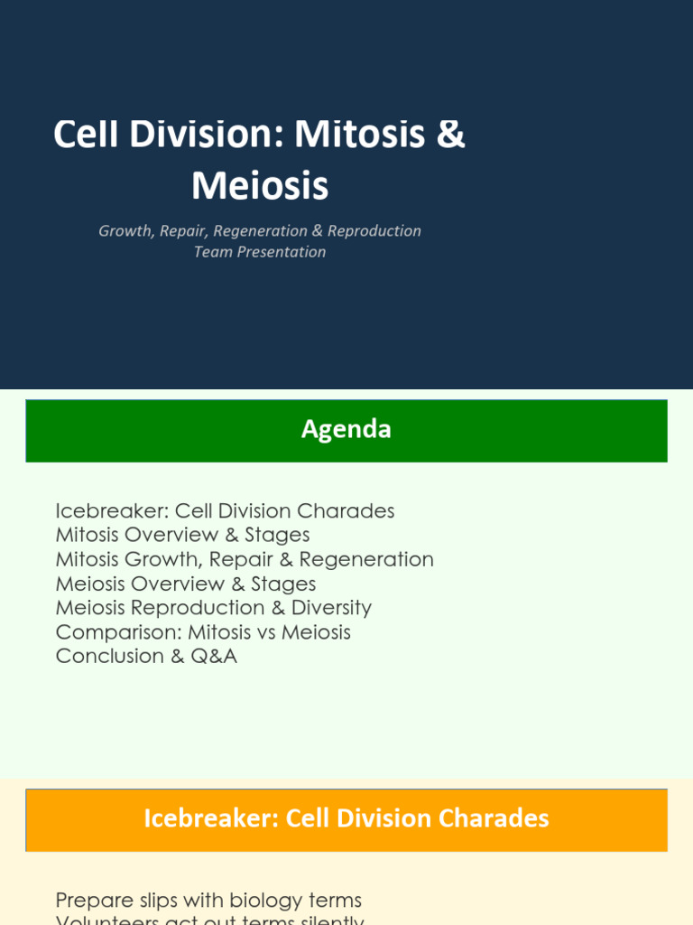 Lively CellDivision Presentation | PDF
