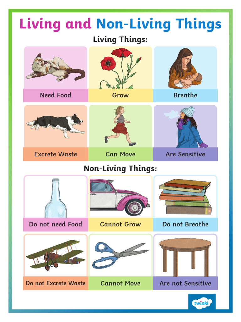 Living vs Non-Living Things Explained | PDF