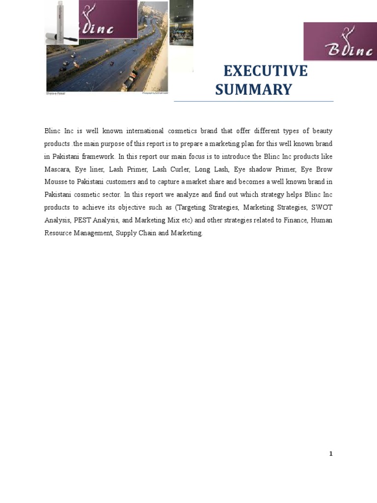 SMM Report On Blink | Download Free PDF | Cosmetics | Brand