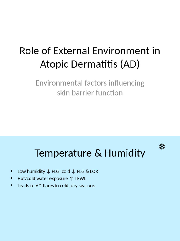 External Environment AD Presentation With Colors | PDF
