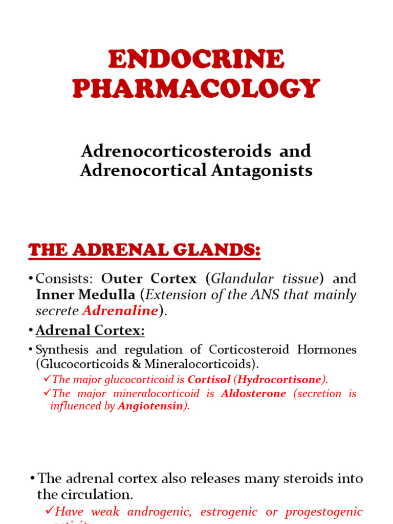 4.adrenocorticosteroids and Adrenocortical Antagonists | PDF | Adrenal ...