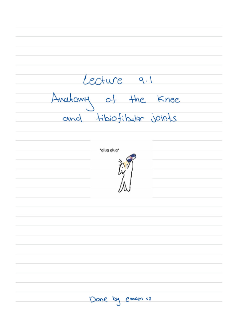 Anatomy of Knee and TF Joints - Eman | PDF | Knee | Lower Limb Anatomy