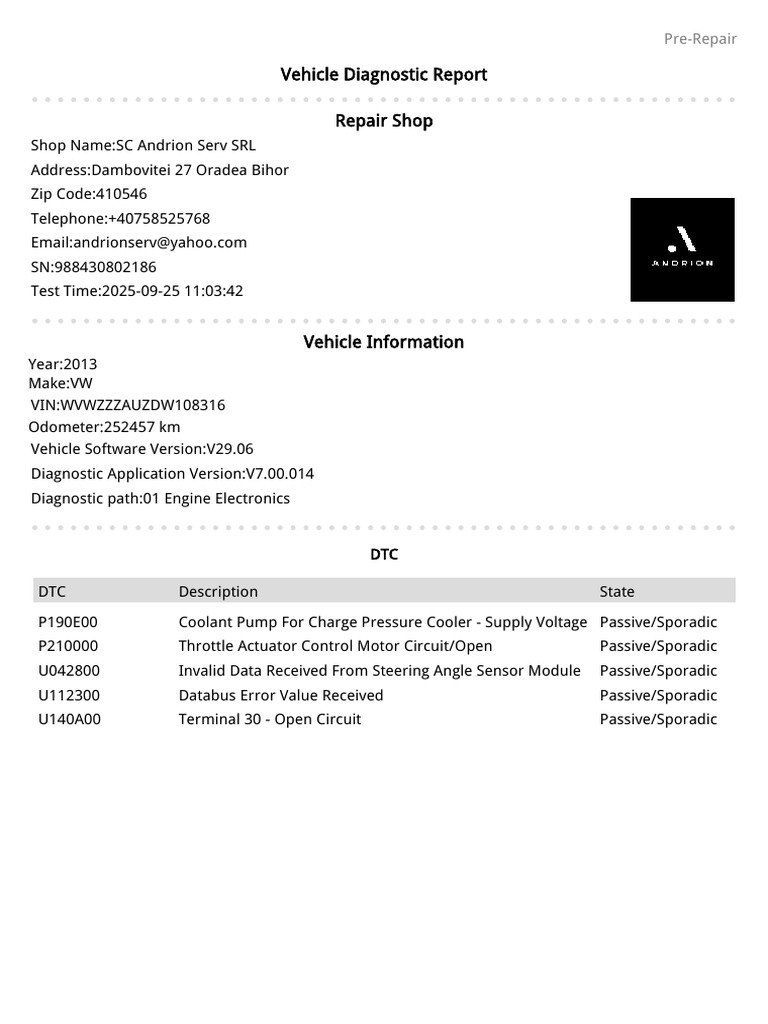 VW Diagnostic Report: DTC P190E00 Details | PDF