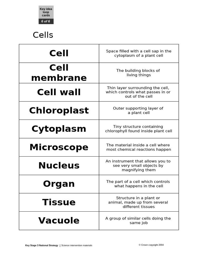 Key Stage 3 Science Loop Cards | PDF | Cell (Biology) | Vacuole