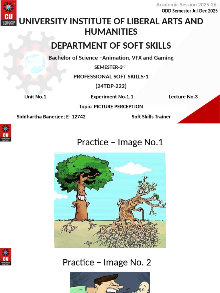1.1 Picture Perception - Practice | PDF